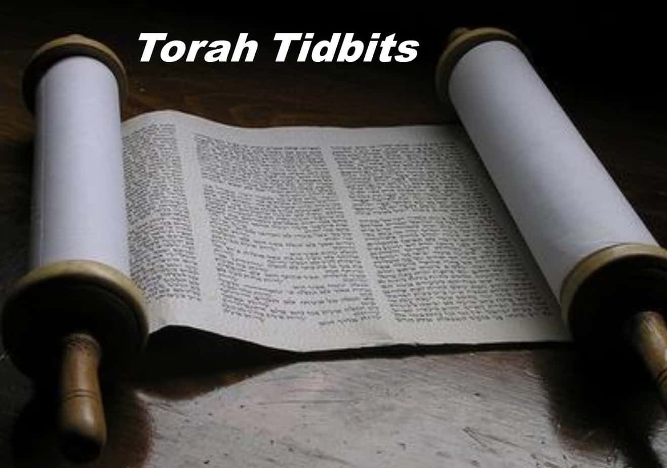 Torah Tidbits - Cantors Assembly